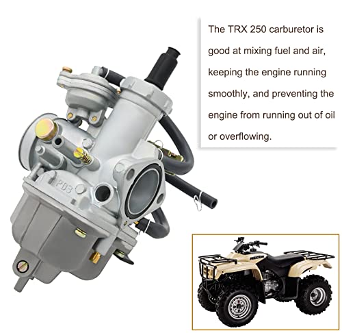 TRX 250 Carburetor Compatible with Honda TRX 250 TRX250 Recon TRX250TM TRX250TE ATV 250 Carburetor, TRX 250 Carburetor Kit
