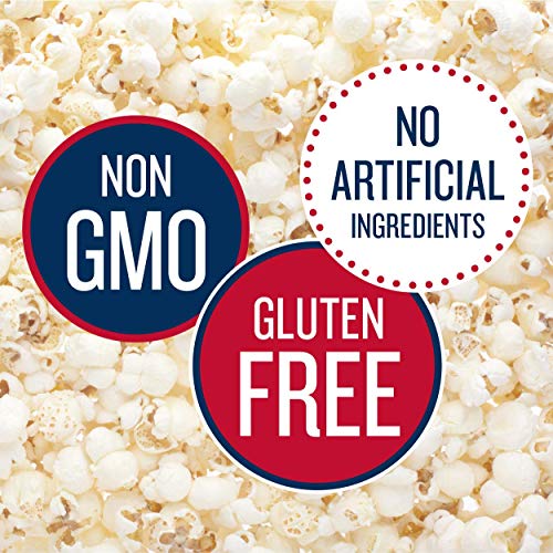 SkinnyPop White Cheddar Popcorn, Skinny Pop, Healthy Popcorn Snacks, Halloween Snacks for Kids, Gluten Free, 4.4oz Grocery Sized Bag