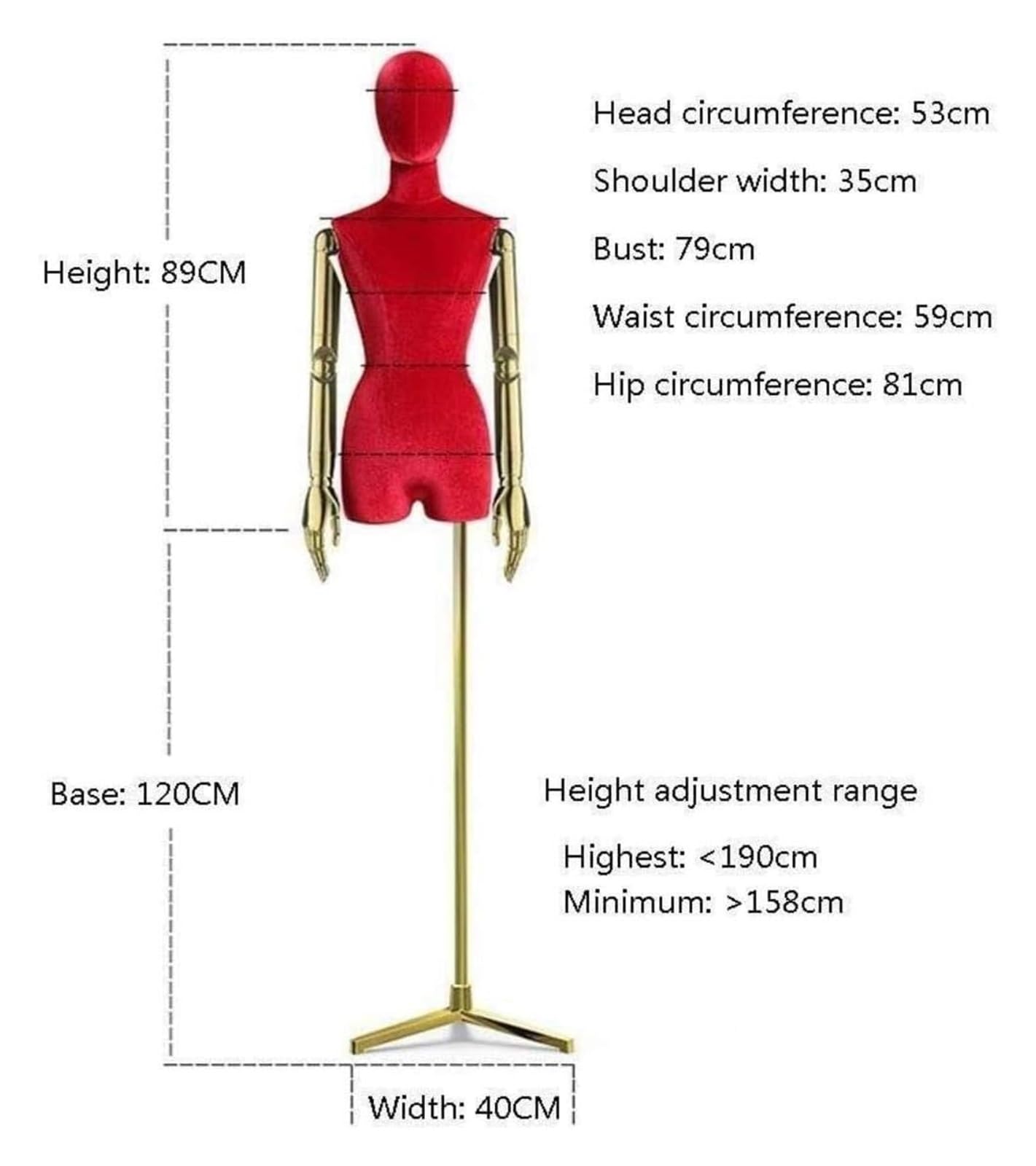 DAZulI Mannequin Tailors Dummy Mannequin, Seamstress Dressmaker Dummy Fashion Models Show Students Bust Clothing Store Props