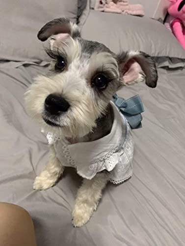 Jingmezhi Pet Cotton Embroidered Back Bowknot Hollow Out Dresses for Cat Dog Daily Clothing (S+(6.6lb~7.7lb))