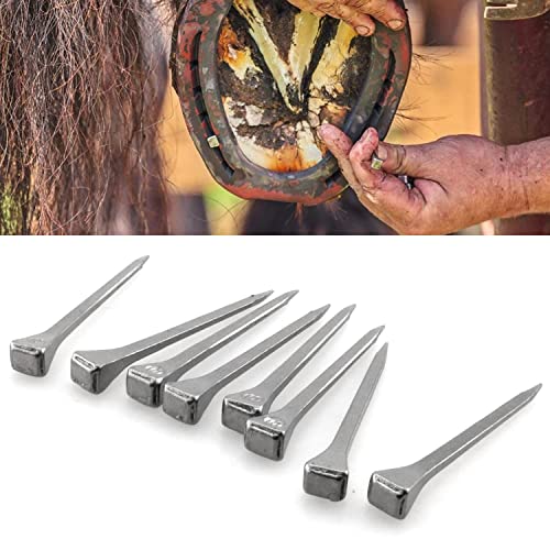 JJHXSM 30PCS Horseshoe Nails E5 Equestrian Sport Equipment Horse Training Supplies Tool for Fixed Lead or Glass