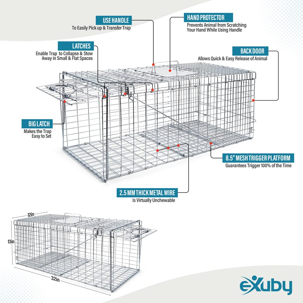 eXuby Large Cat Trap for Stray/Feral Cats & Other Animals - 32"x12"x13β - Catch Them Live & Relocate - Extra Large 8.5" Trigger Platform - Also for; Racoon, Rabbit, Possum, Skunk, Bobcat, Squirrel