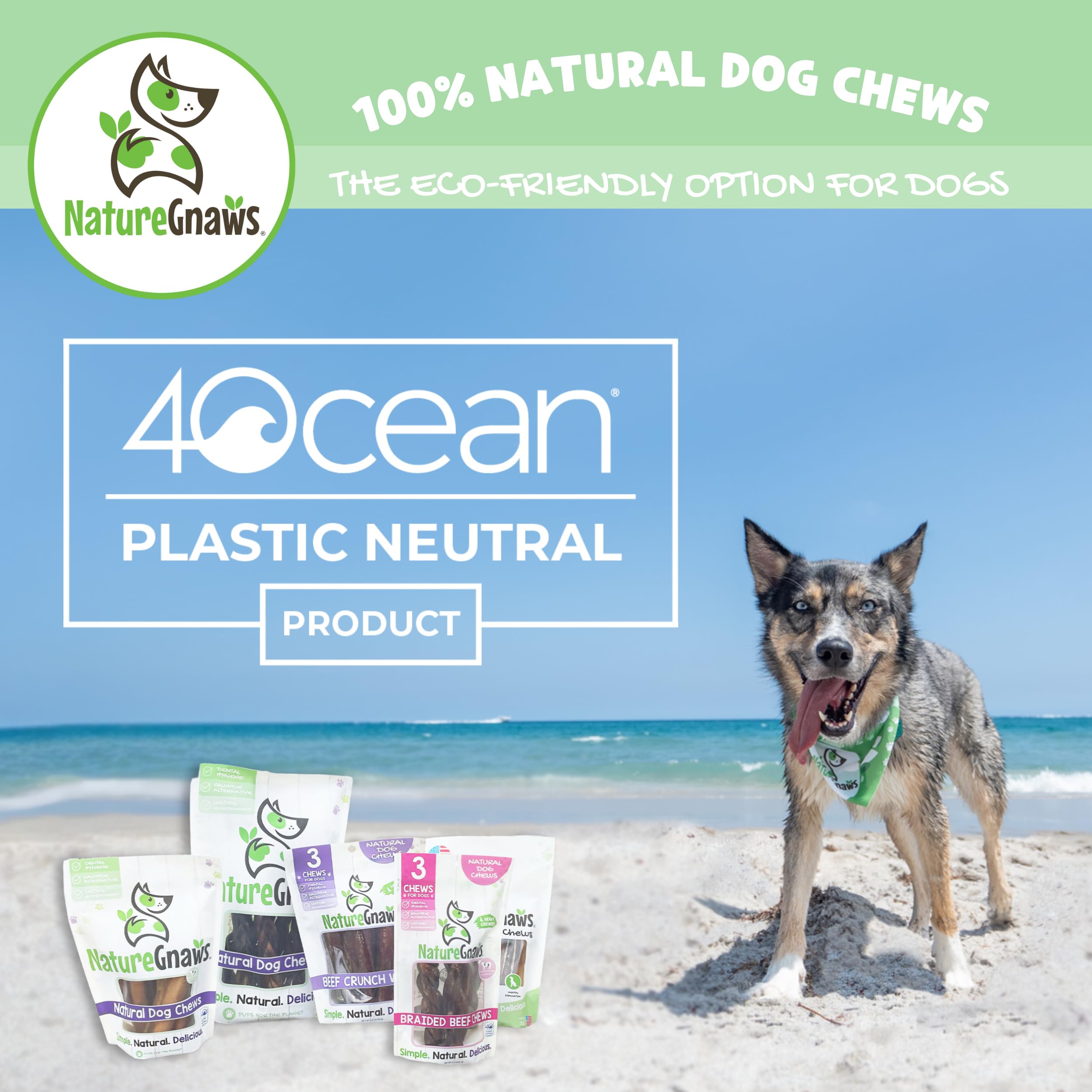 Nature Gnaws Beef Chew Sticks for Dogs 1LB - Premium Natural Dog Treats - Limited Ingredient Long Lasting Rawhide Free Dental Chews