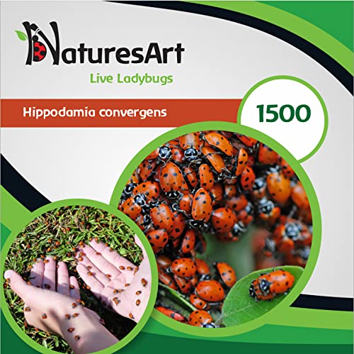 NaturesArt 1500 Live Ladybugs - Good Bugs for Garden - Ladybug - Guaranteed Live Delivery!, AR-18000