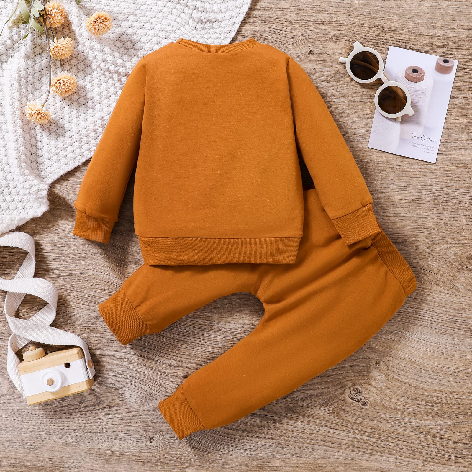 Infant Baby Girl Fall Winter Outfits Long Sleeve Sweatshirt Flower Print Pullover Top+ Elastic Waist Pants 2Pcs Set (Brown-Wildflower, 6-12 Months)