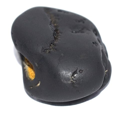 Rudrakshguru Laxmi Narasimha Shaligram - Gandaki River Nepal