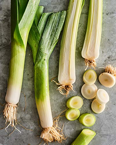 Gaea's Blessing Seeds - Leek Seeds - Non-GMO American Flag Leek Seeds with Easy to Follow Planting Instructions - 90% Germination Rate