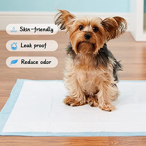 kathson 22" x 22" Puppy Pee Pads Rabbit Disposable Potty Training Pad 40PCS Super Absorbent & Leak-Free Doggy Pet Supplies for Bunny Kitten Small Dog Guinea Pig