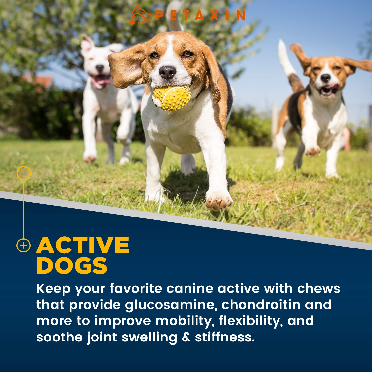 Petaxin Glucosamine for Dogs – Advanced Hip and Joint Supplement for Dogs - Dog Joint Supplement for Joint Pain Relief and Mobility – Dog Glucosamine with Chondroitin, MSM, Turmeric - 120 Soft Chews