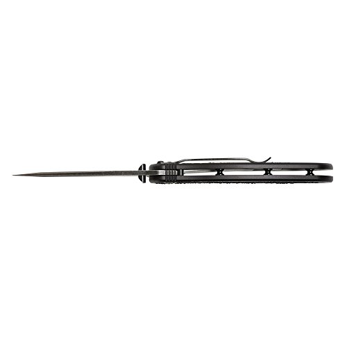 Kershaw Blur BlackWash Pocketknife, 3.4" Sandvik 14C28N Stainless Steel Recurved Blade, Assisted Thumb-Stud Opening EDC