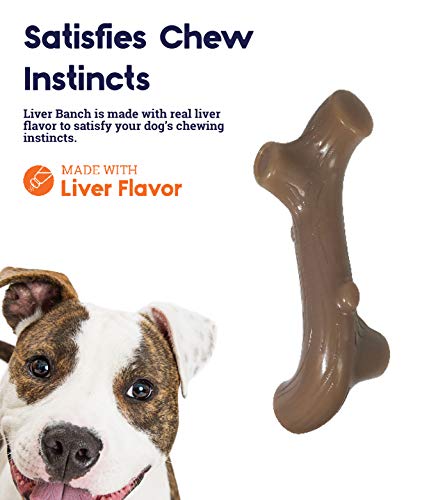 Petstages Dog Chew Toys β Safe and Long Lasting Chewable Sticks - Tough Alternative Chewing Sticks for Dogs