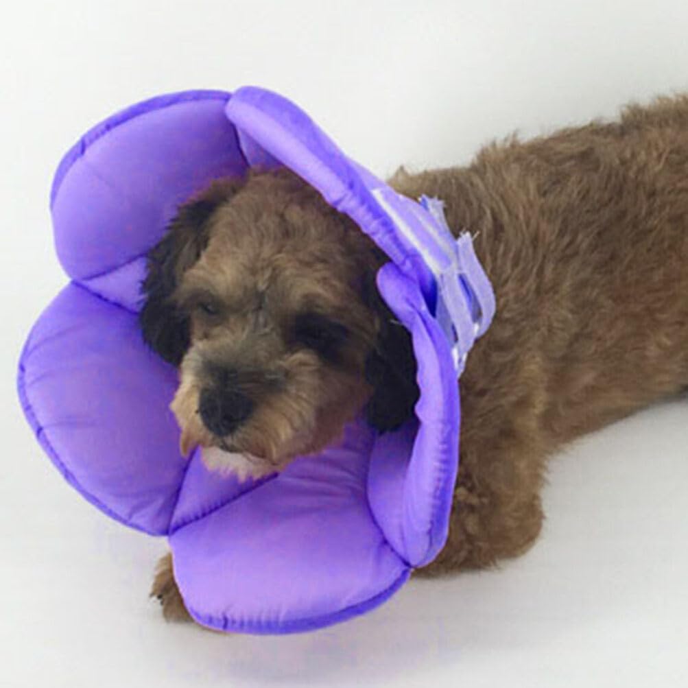 GANAZONO Pet Recovery Collar, Cat Cone Collar, Elizabethan Protective Cone, Wound Healing Protective Cone After Surgery for Small Pet