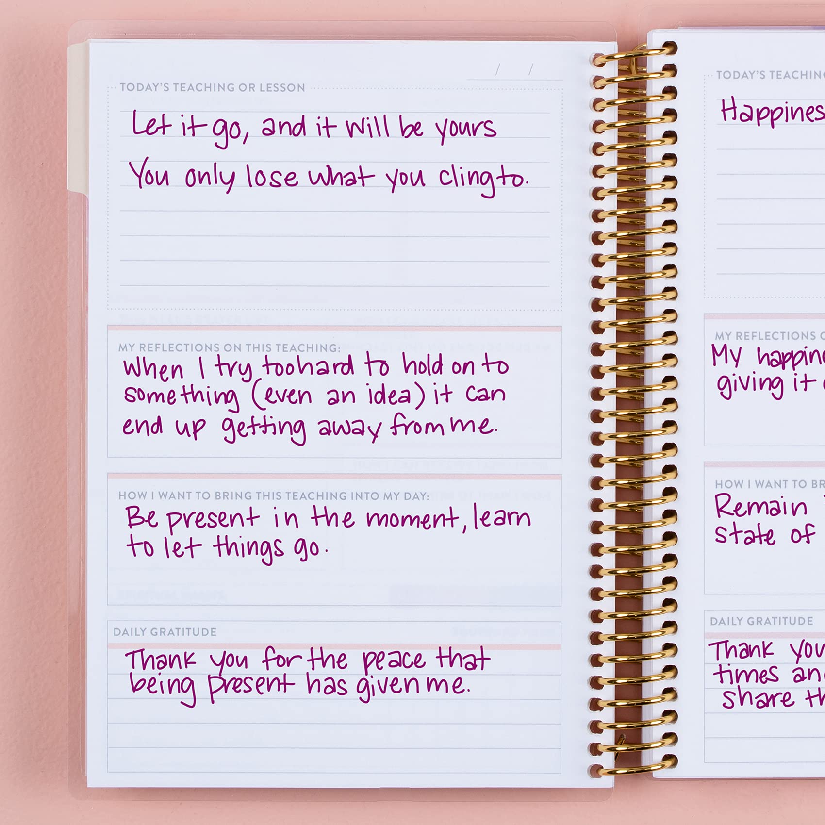 Erin Condren A5 Spiral Bound Prompted Daily Faith Journal. 160 Pages. Check In Prompts, Prayer Lists, Daily Reflection, Gratitude Pages, Monthly and Weekly Reflection