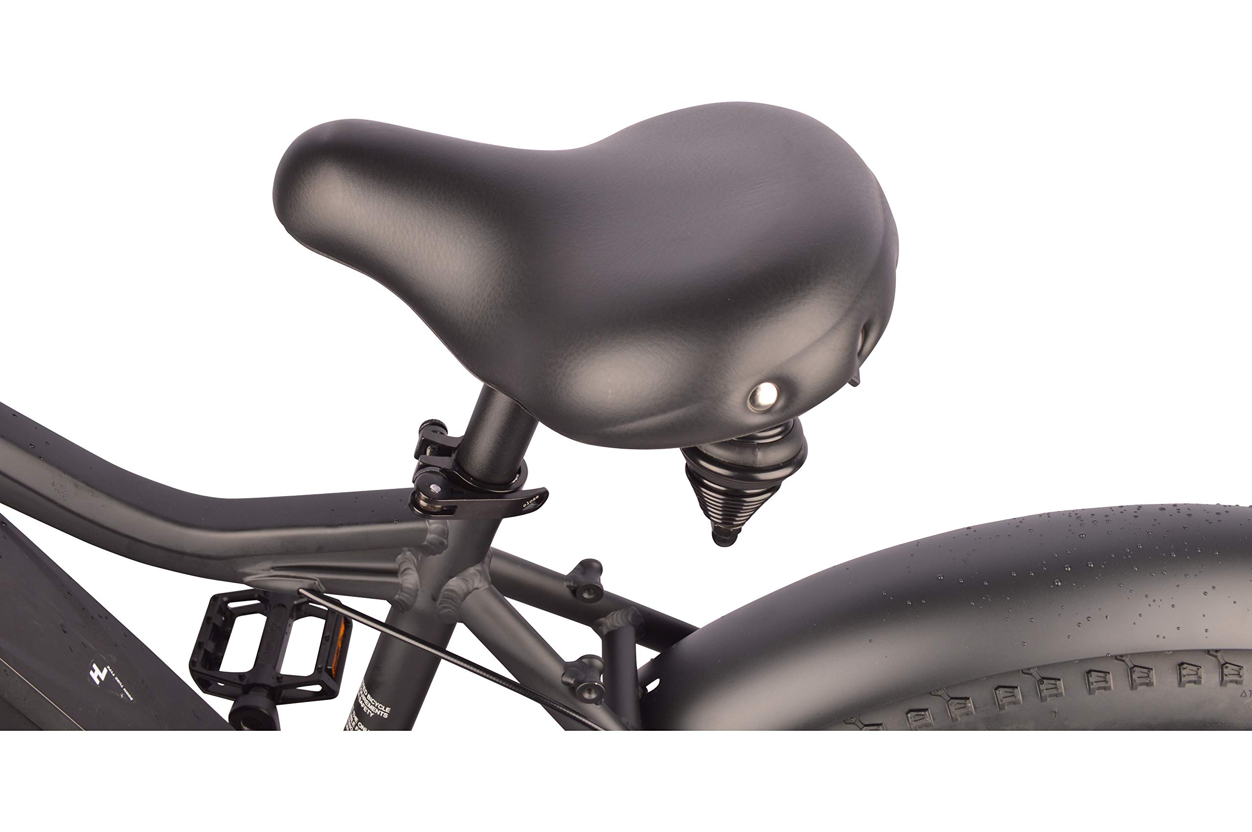 DJ Fat Bike 750W 48V 13Ah Power Electric Bicycle, Matte Black, LED Bike Light, Suspension Fork and Shimano Gear