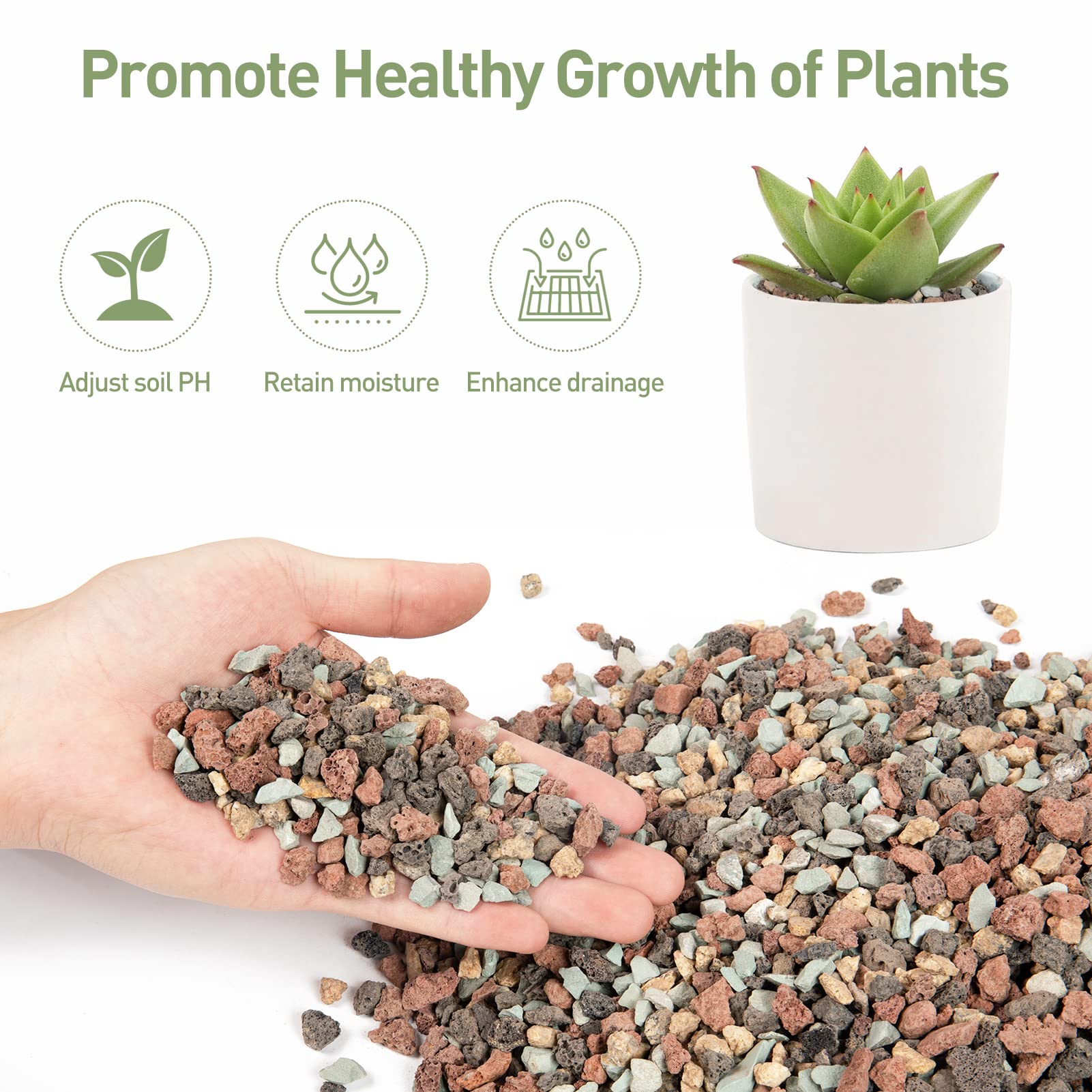 GASPRO 5lbs Lava Rocks for Plants, 1/5 Inch Pea Gravel for Succulent, Pots Indoor, Terrarium, Cactus, Bamboo, Bonsai Tree, Top-Dressing, Mixed Color Volcanic Rocks, Good Drainage