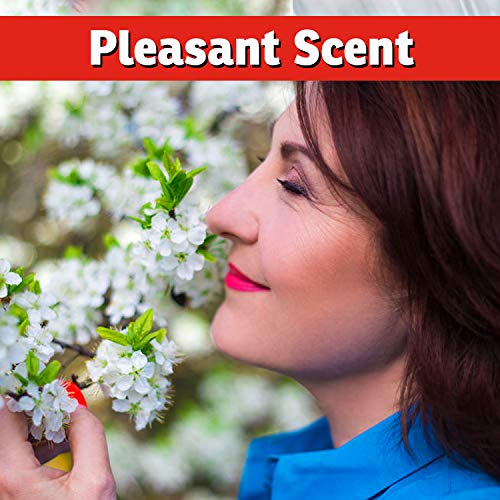 I Must Garden Deer Repellent [2 Pack: Mint Scent + Spice Scent] - Natural Deer Spray for Gardens & Plants – Two 32oz RTU Bottles