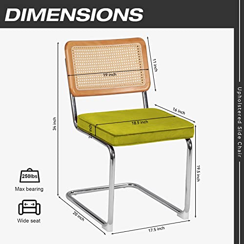 MeetLeisure Rattan Dining Chair Set of 2, Mid-Century Modern Chairs with Metal Chrome Legs, Armless Cane Back Chairs with Upholstered Cushion for Home Kitchen Dining Room, Matcha Green