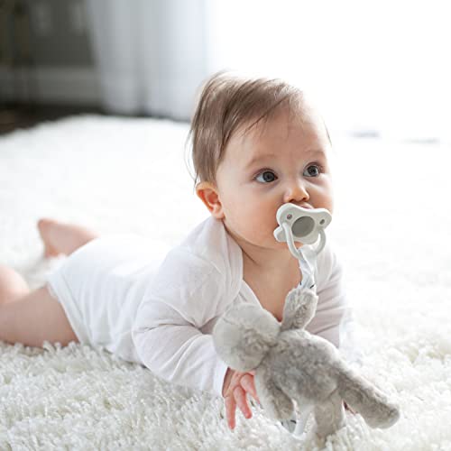 Dr. Brown’s Lovey Pacifier and Teether Holder with HappyPaci Silicone Pacifier, Sloth, Lion, Triceratops Variety Pack 0-6m