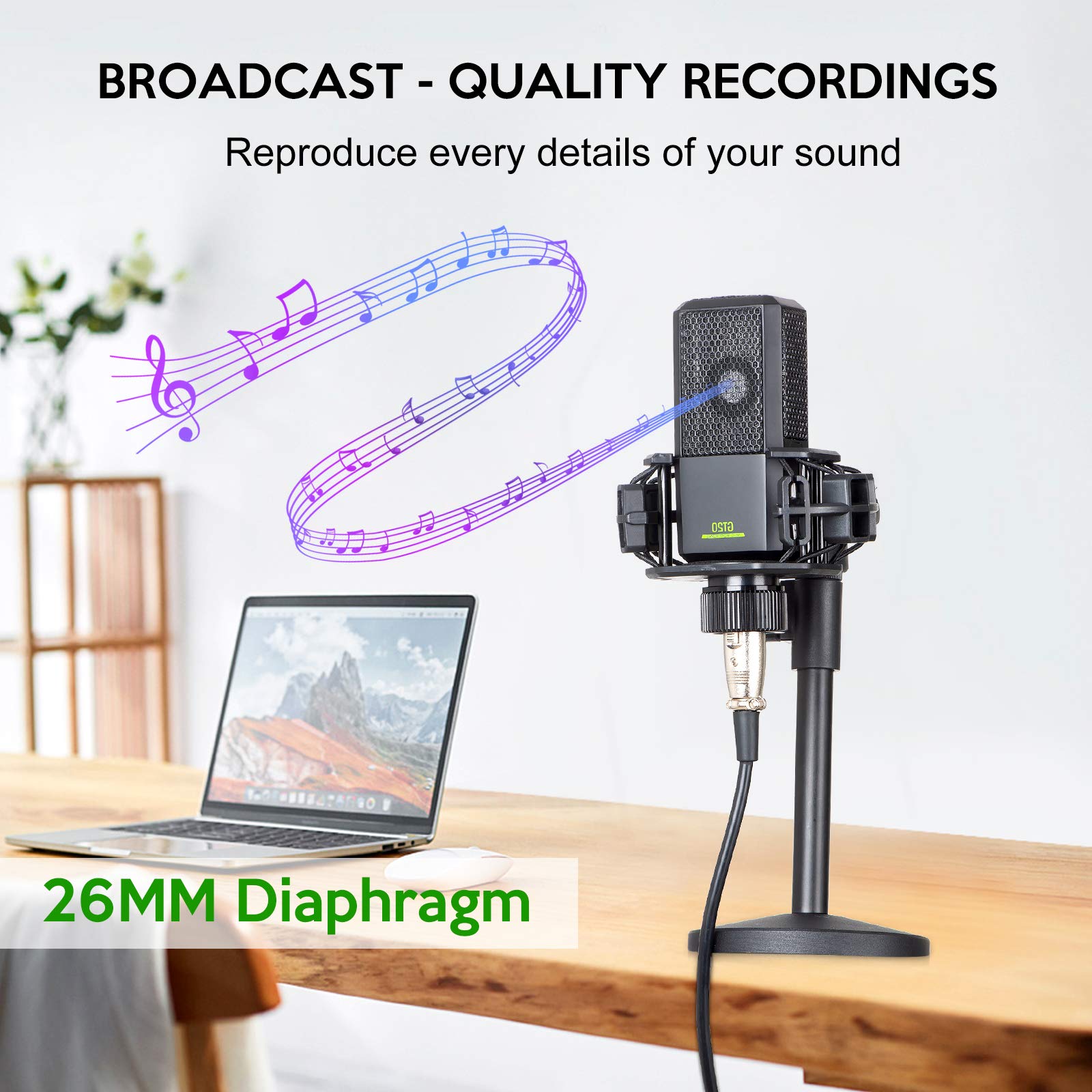 Dr.Raderm Condenser Recording Microphone with Stand, Professional Microphone for Studio Podcast Gaming YouTube Live Streaming 3.5mm Plug and Play Mic Compatible PC Computer Laptop Mac Windows