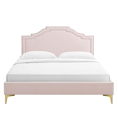 Modway MOD-6850-PNK Adelaide Performance Velvet Twin Bed, Pink Platform