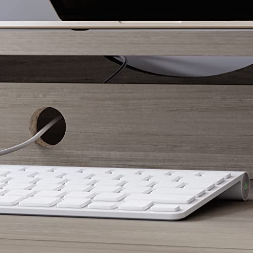 Sauder Beginnings Desk, L: 46.81" x W: 18.50" x H: 29.96", Silver Sycamore Finish