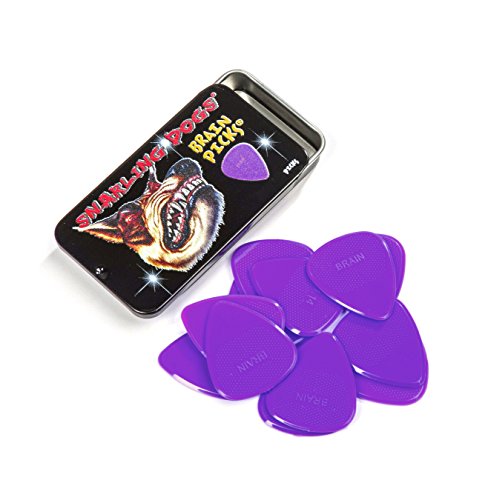 D'Andrea Snarling Dog Brain Nylon Guitar Picks 12 Pack with Tin Box (Purple, 0.60mm)
