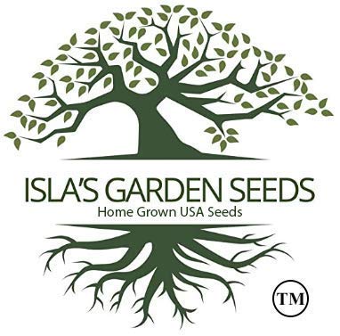 Iceland Poppy Seeds Flower Mix, 3000 Heirloom Flower Seeds Per Packet, Non GMO Seeds, Botanical Name: Papaver nudicaule, Isla's Garden Seeds