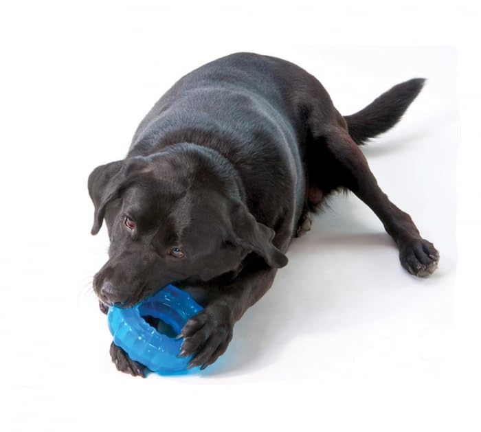 Petstages Orka Tire Royal Blue Treat-Dispensing Dog Chew Toy