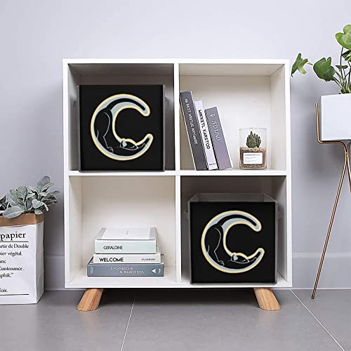 Moon Cat Large Cubes Storage Bins Collapsible Canvas Storage Box Closet Organizers for Shelves