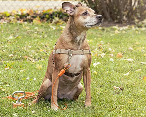 IntelliLeash Intelli-Stayk with Special Surface-Lock Technology to Prevent Pulling Out and Bending (4" Diameter)