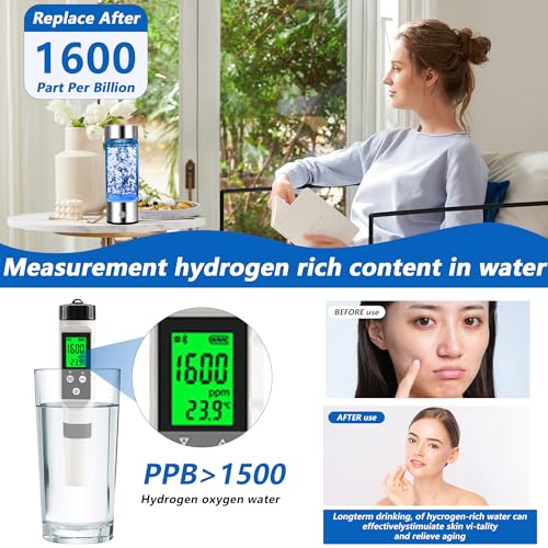Hydrogen Water Bottle Generator, AquaHealth Hydrogen Water Bottles, 450ml Portable Rechargeable Hydrogen Water Ionizer Hydrogen-Rich Water Bottle Glass for Home (Silver)