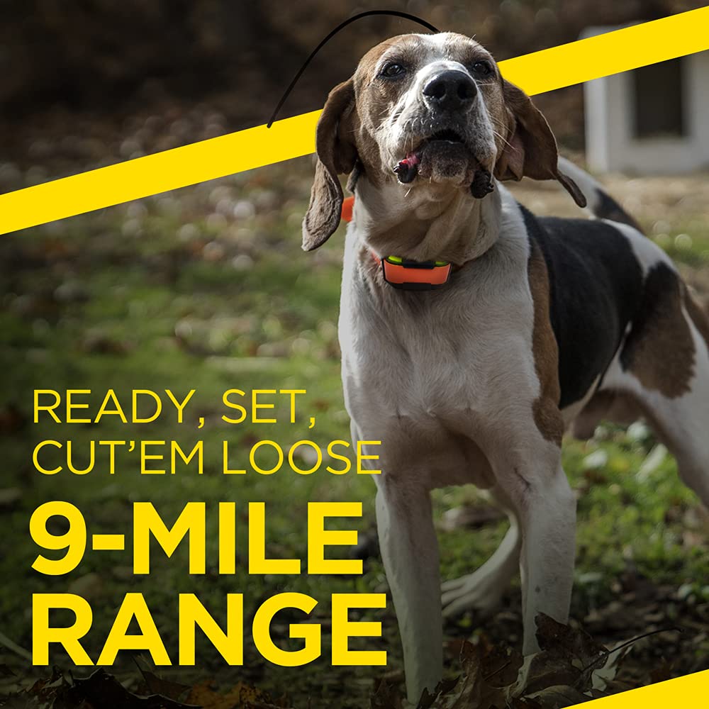 Dogtra Pathfinder SE GPS Tracking & Training E-Collar Special Edition LED Receiver 9-Mile 21-Dog Expandable Rechargeable Waterproof Compatible Smartphone Required with Wearable Carrying Holster