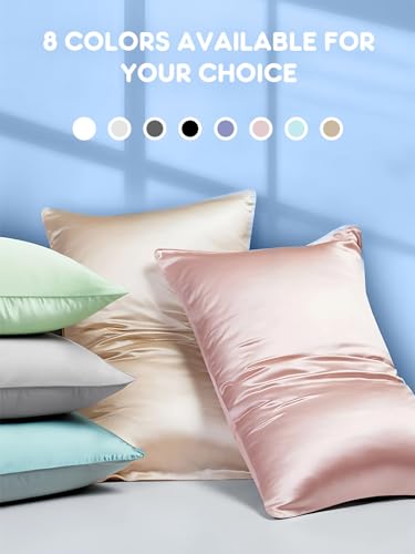 Mulberry Silk Pillowcase for Hair and Skin, SGMSILK 22 Momme Natural 6A Silk Pillow Case with Zipper Soft Texture, Single Sided Washable Pure Silk Pillow Cover(White, Standard 20"x26")