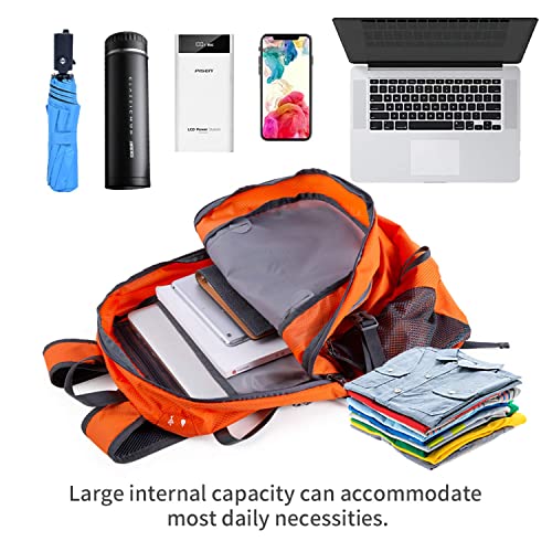Sharkborough Daypack Backpacks, Orange, 40 Long