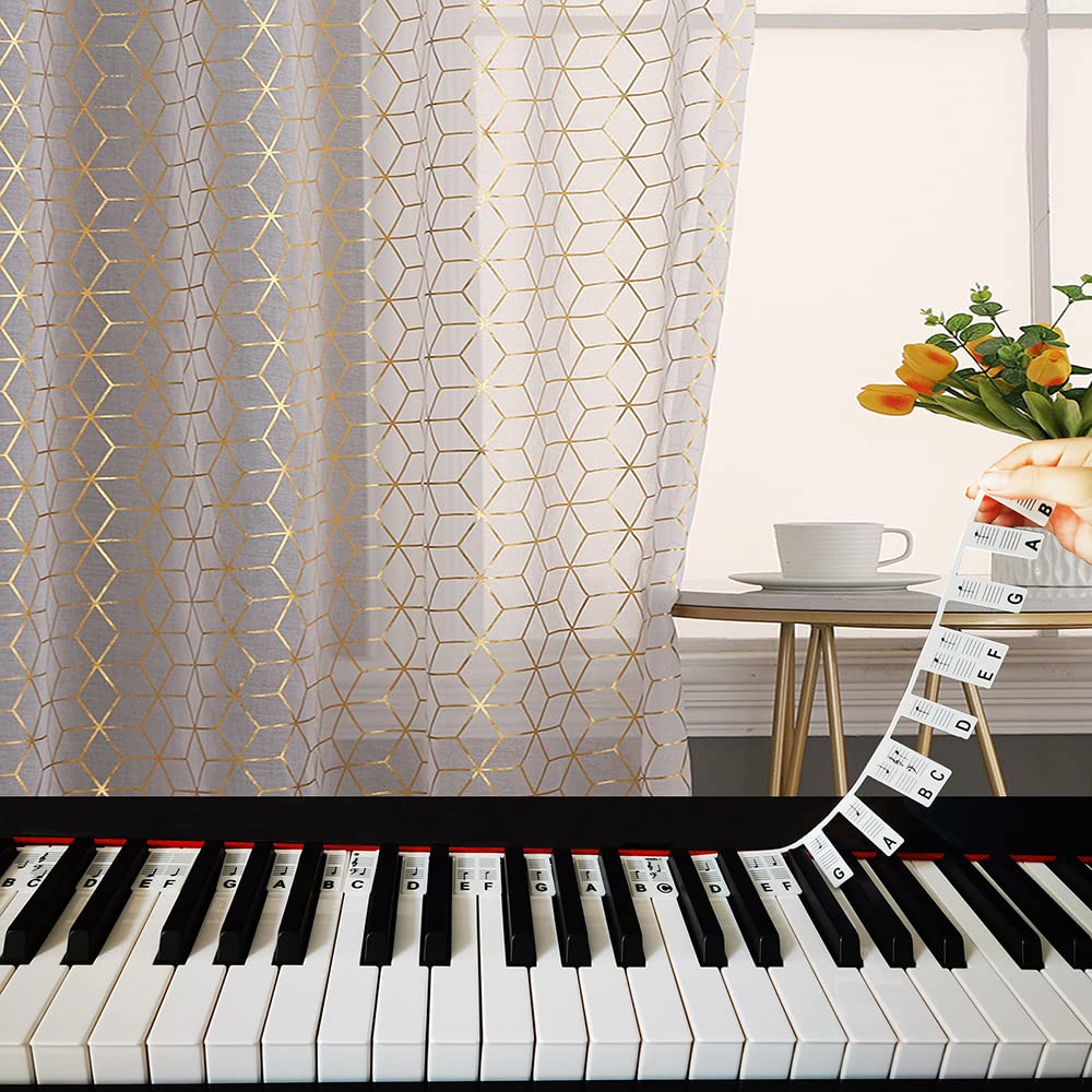 Fansoun Piano Notes Guide for Beginner, Removable Piano Keyboard Stickers for Learning, for 88-key Full size, Made of Silicone, Reusable and Piano Gifts for Beginner