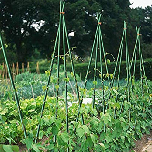 Growsun 4ft Garden Stakes Metal Plastic Coated Plant Cage Supports Tomato Stakes Trellis Climbing for Tomatoes,Trees,Cucumber,Fences,Beans,25 Pack