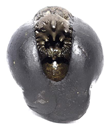 Rudrakshguru Wooden Bhuvaneshwari Shaligram (Black, 2.50 x 2-inch)