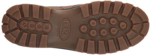 ECCO Men's Track 25 High Gore-TEX Waterproof Hiking Boot, Nutmeg Brown Nubuck, 11-11.5