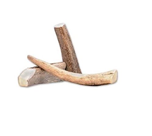 Ranch Rewards ELK Antler Dog Dental Chews Natural Way to Clean Your Dog's Teeth Bulk Too!(Small - 4" to 5" 3 Antlers)