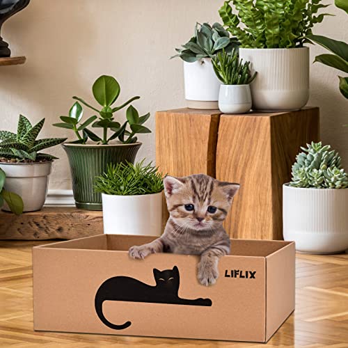 LIFLIX Cardboard Cat Scratcher with Box, 5PCS Reversible Cat Scratch Pads in Large Cat Scratcher Box, Cat Scratcher Lounge for Indoor Cats to Rest and Play, 16.5" x12.6 x5.9