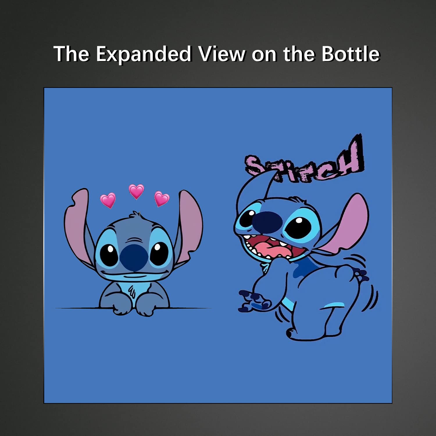 G-Ahora Stitch Water Bottle,Kawaii Cartoon Water Bottle Cup,Reusable Water Bottle for Girl 500ml (B)