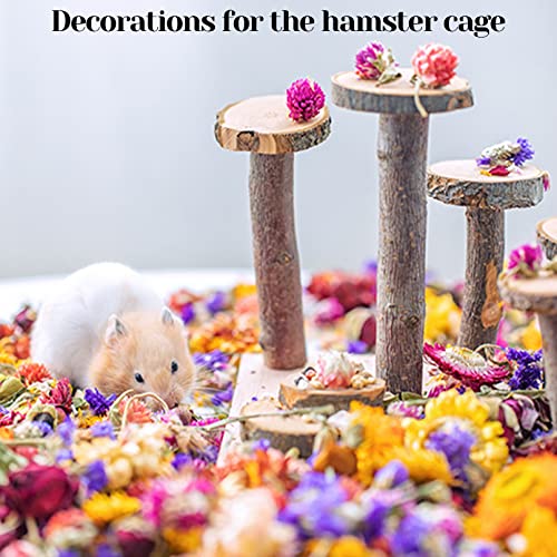 PINVNBY Hamster Bedding, 7OZ Natural Dried Flower & Herb Litter, Small Pet Bedding Small Animal Bedding Mate of Hamster Bedding for Gerbils Mice Lemming Degus (Flower & Grass)