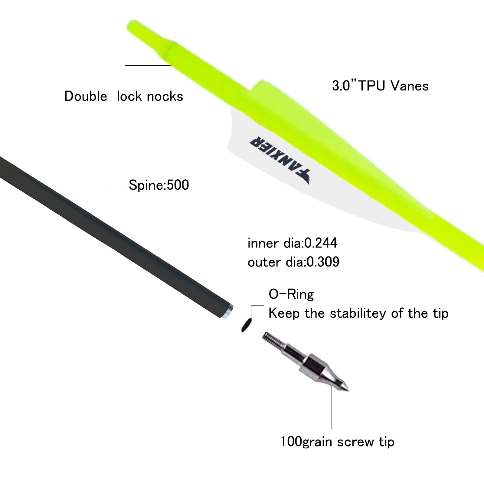 Fanxier 30-Inch Carbon Arrow Hunting Target Practice Arrow,with Quiver, Detachable Tip, Suitable for Compound Bow & Recurve Bows (12 Pcs Arrow + Quiver)