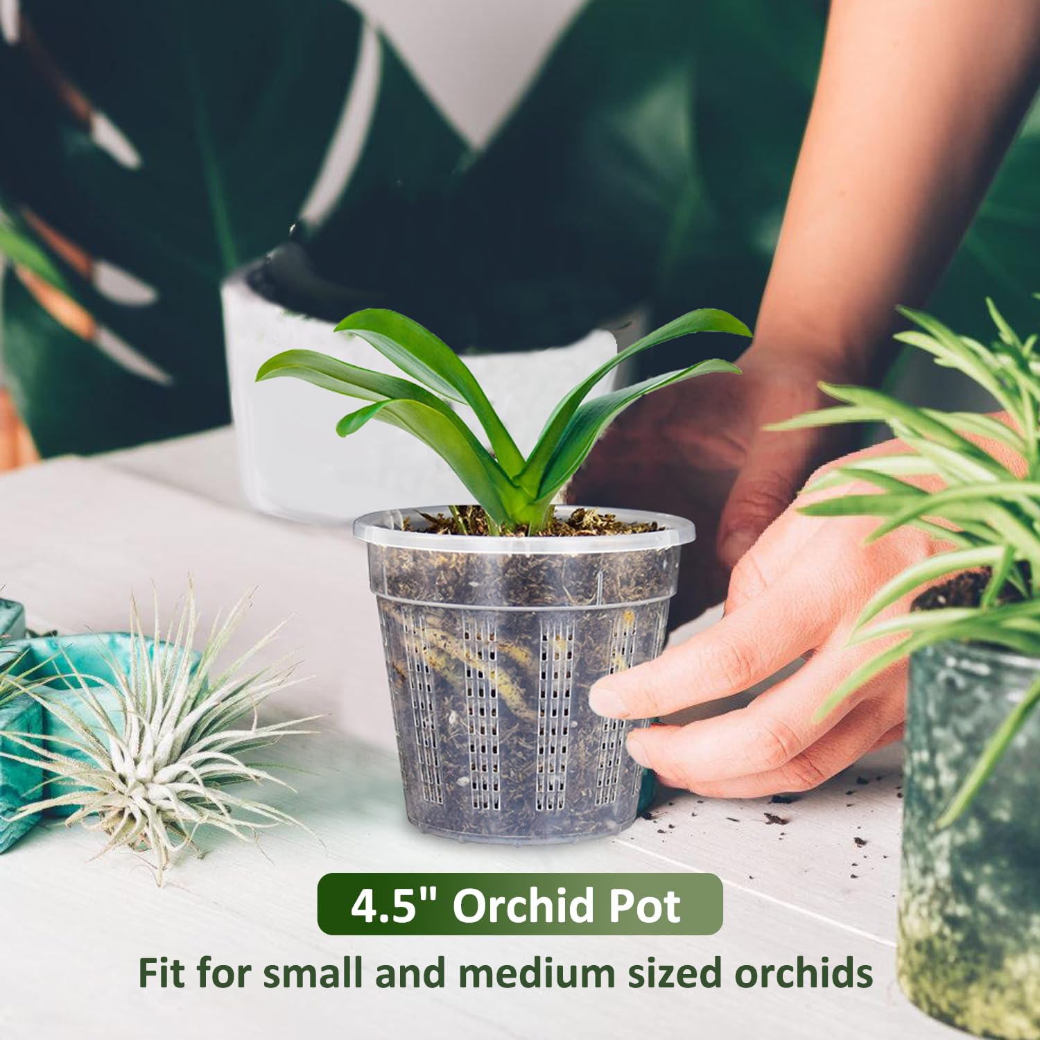 HOLANHING 8 Pack Orchid Pot, 4.5in Orchid Pots with Holes, Orchid Pots for Repotting with Clips, Clear Plastic Plant Pot for Indoor Outdoor Plants(4.5in, 8 Pack)