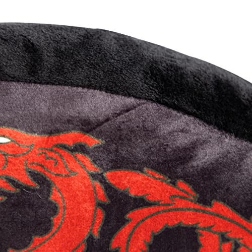 Jay Franco Game of Thrones Targaryen Shaped Decorative Pillow - Super Soft Throw Plush Pillow - Measures 14 Inches (Official Game of Thrones Product)
