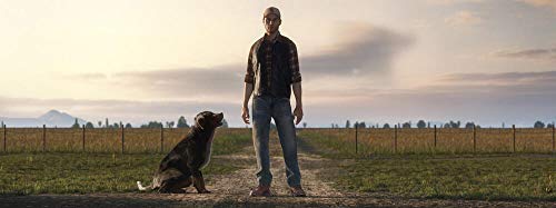 Farming Simulator 19 - PlayStation 4