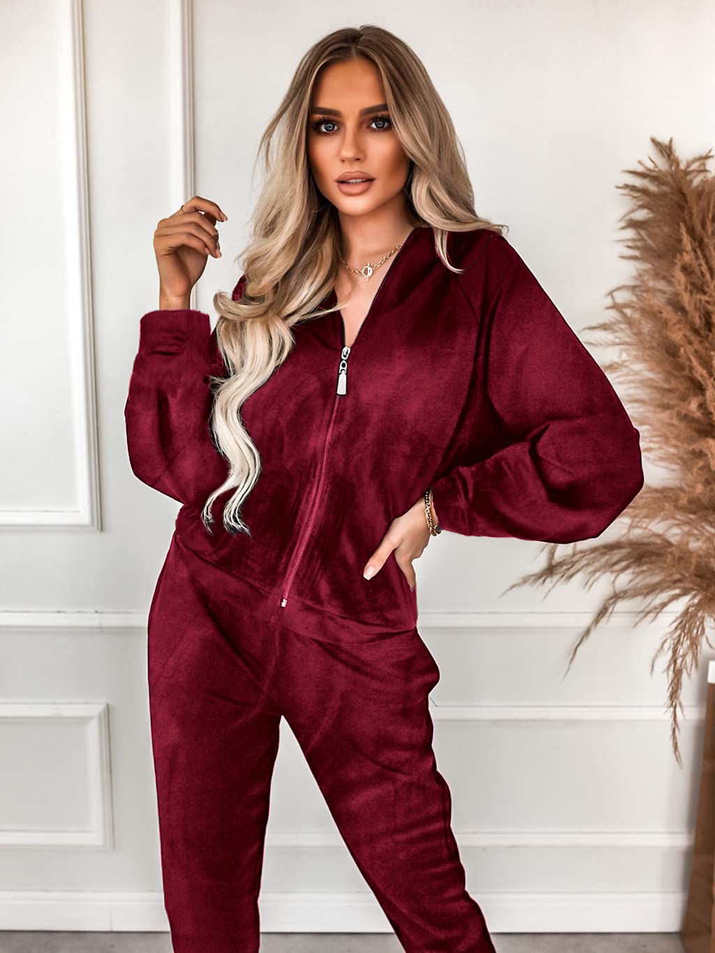 Ekouaer Womens Casual 2 Piece Solid Velvet Tracksuit Full Zip-up Velour Sweatshirts & Pants Set No Hood Wine Red M