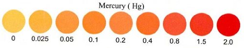 Osumex Heavy Metal Test Kit for Humans 5 Pack Heavy Metals Test β At Home Heavy Metal Urine Test Kit, Mercury Test Kit for Humans, Arsenic Testing Kit Cadmium Tester with Option to Choose Other Metals