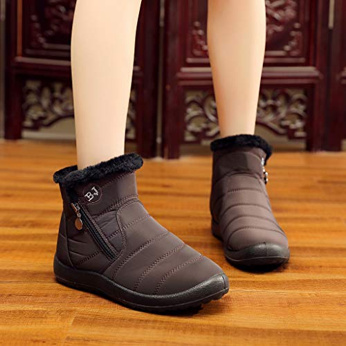 FASDNENDYS Botas Boots Ankle Shoes Warm Women's Short Winter Snow Nylon Cotton Slip in Winter Boots for Women