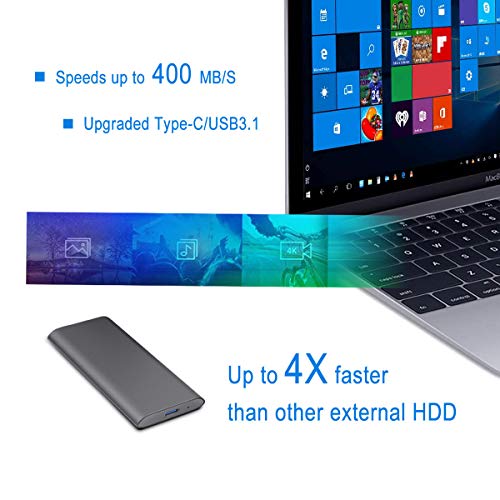 External Hard Drive 1TB USB3.1 for PC, Mac, Desktop Computer, Wii U, Xbox (1TB, Gold)